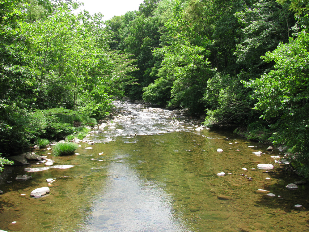 Nelson Scenic Loop – Around the world of the 3 Ridge Mountain watershed