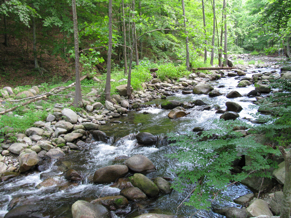 Nelson Scenic Loop – Around the world of the 3 Ridge Mountain watershed